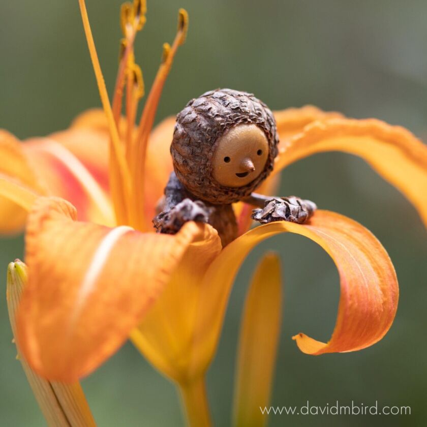 David Bird: charming hand-carved forest creature sculptures