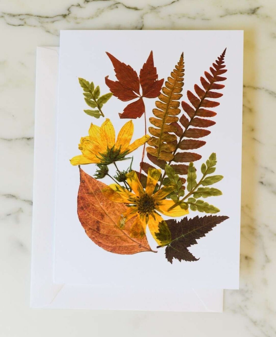 Karly Murphy: pressed flower botanical greeting card art
